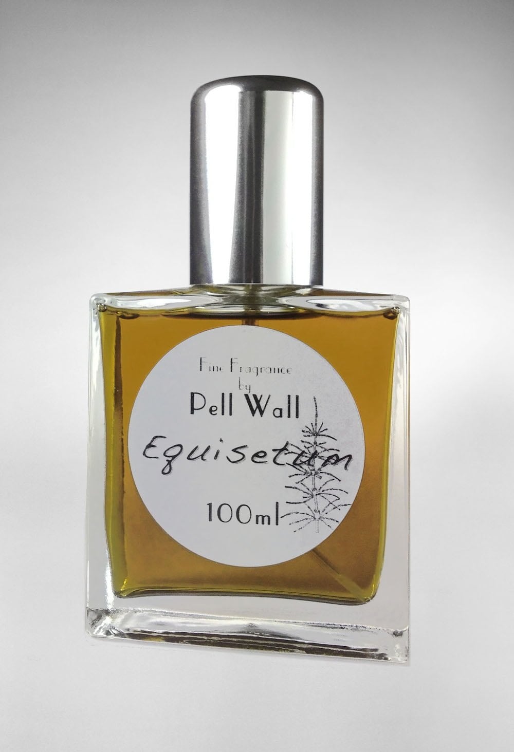 Equisetum – Pell Wall