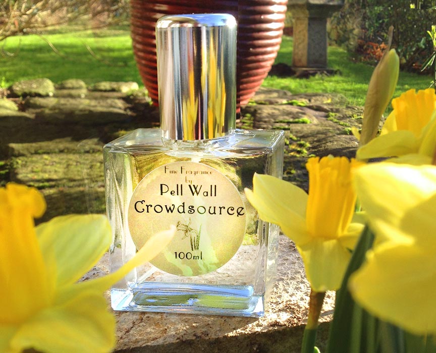 Spring Flowers Collection – Pell Wall