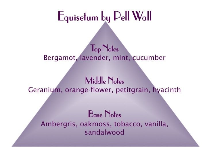Equisetum – Pell Wall